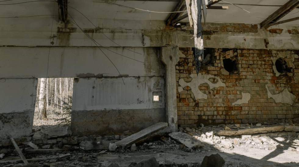 Understanding Housing Disrepair: Responsibilities and Compensation ...